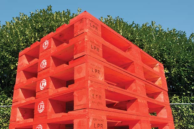 Tolsa Group appoints LPR, the red pallet people | Warehouse & Logistics ...