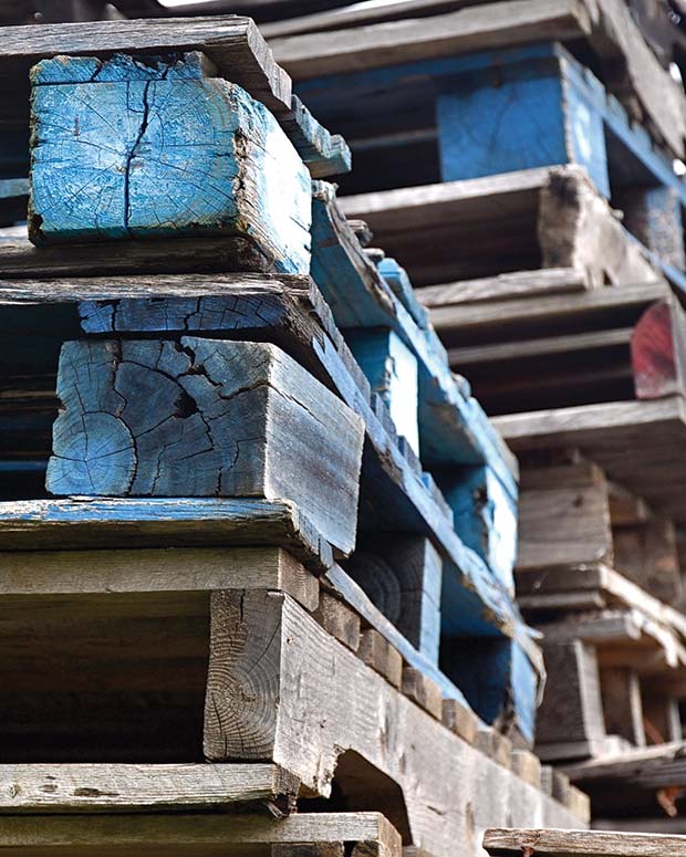 Poor pallet hygiene poses threat to UK economy | Warehouse & Logistics News